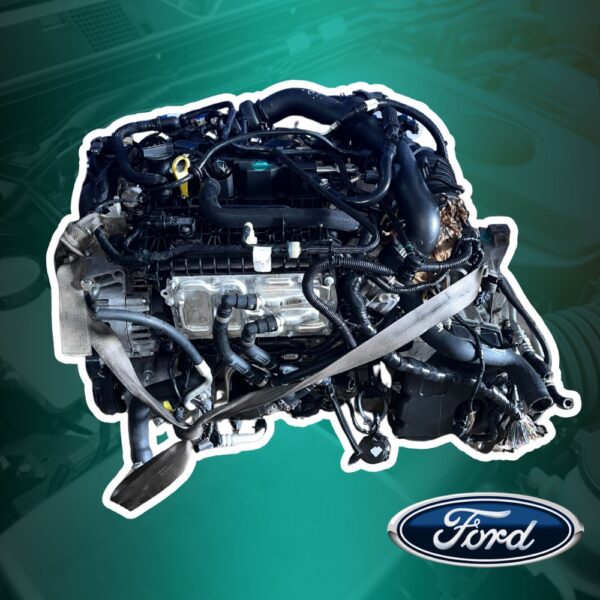 Ford Focus ST 2.0 R9DA engine | LM Diversity Engines & Gearboxes